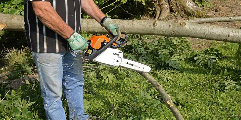 Comment abattre un arbre dans son jardin ? - Blog jardin