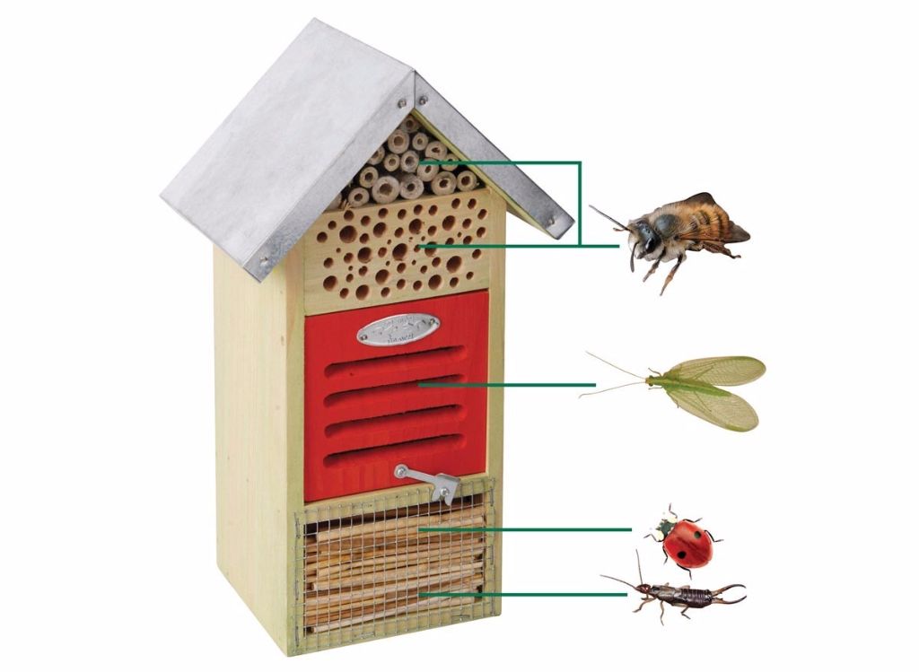 L'hôtel à insectes, indispensable dans un jardin
